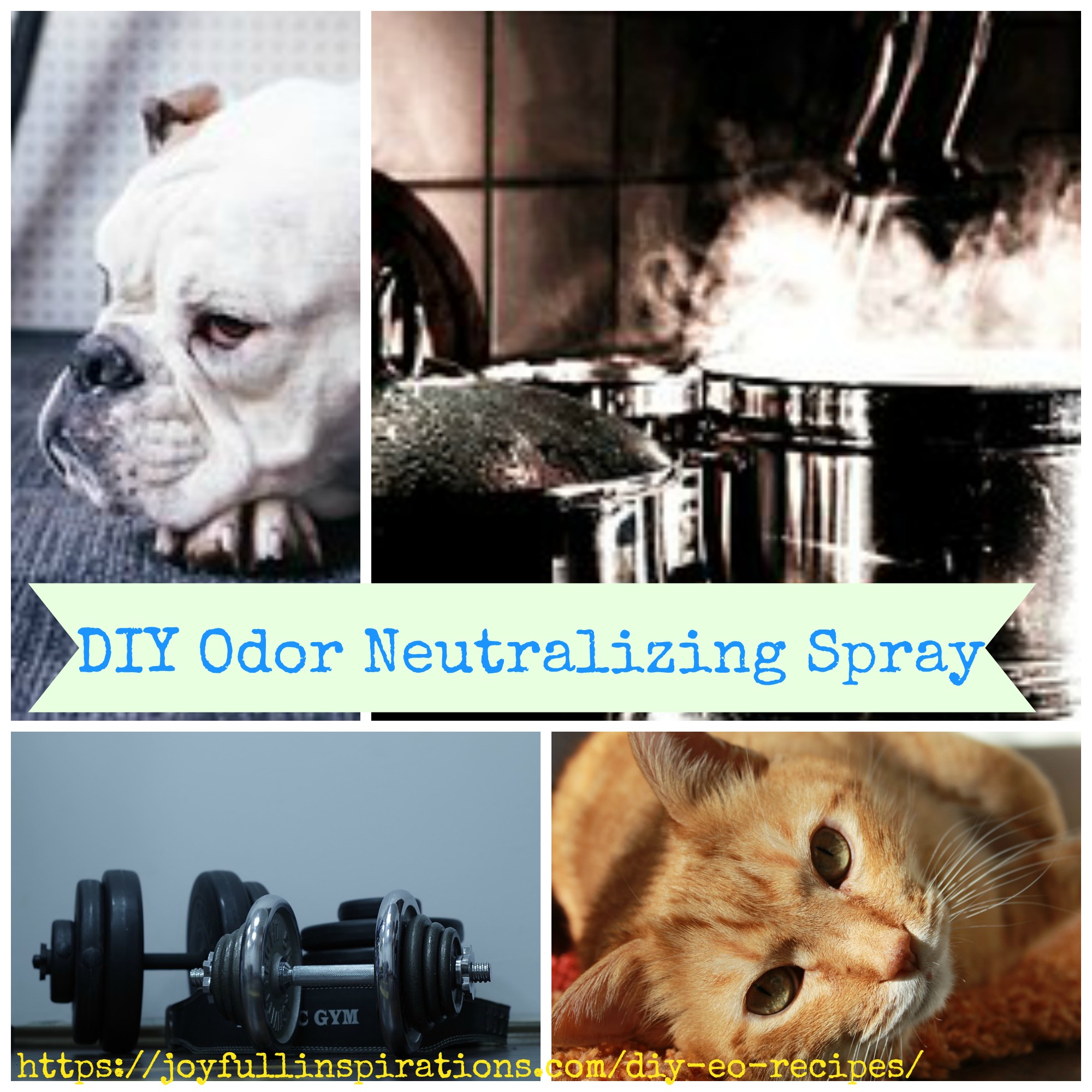 DIY Odor Neutralizing Spray – Joyfull Inspirations LLC